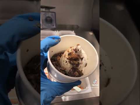 Day 3 of working at Dairy Queen // Learn how to make a blizzard! #shorts