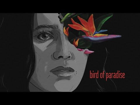 Bird Of Paradise: A Hitchcockian Thriller Unveiling Fame, Mystery, and Murder