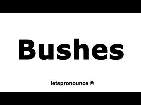 How to Pronounce Bushes
