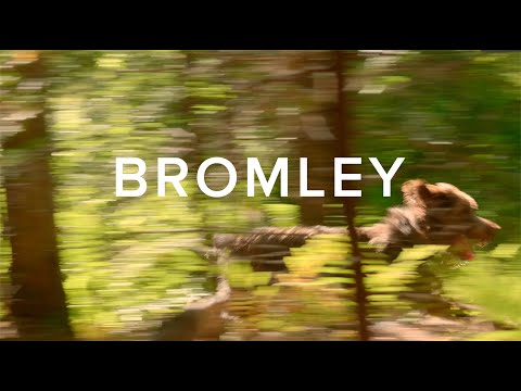 ORVIS Presents: BROMLEY