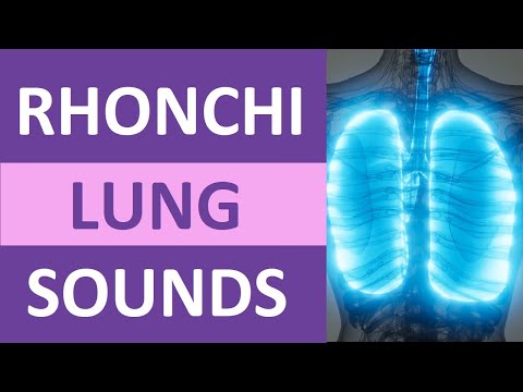 Rhonchi Lung Sounds Nursing Review