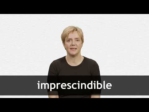 English Translation of “IMPRESCINDIBLE” | Collins Spanish-English ...