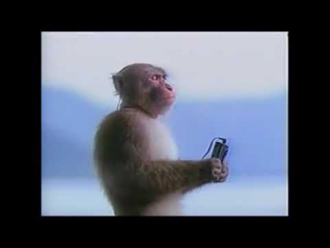 funny monkey vibes
