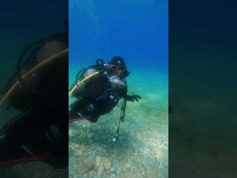 PADI Advanced Open Water Course | Kartelias Spiros Dive Center