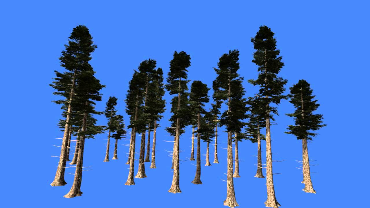 Unity - Tree Testing (wind settings)