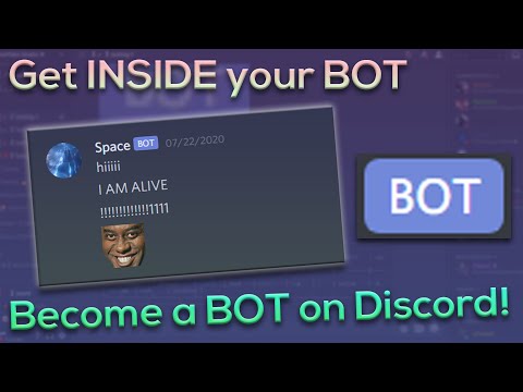 How to get inside a Discord BOT ACCOUNT!!?!