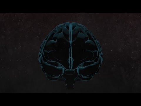 A peek inside a murderer's brain