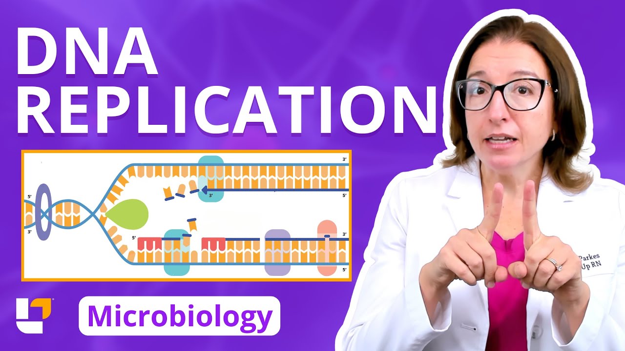 DNA Replication: Microbiology Genetics Pre-Nursing, Pre-Med & Health Field Careers | @LevelUpRN