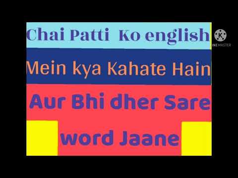 chai Patti ko English mein kya Kahate Hain/ chai Patti meaning in English/ English meaning of chai