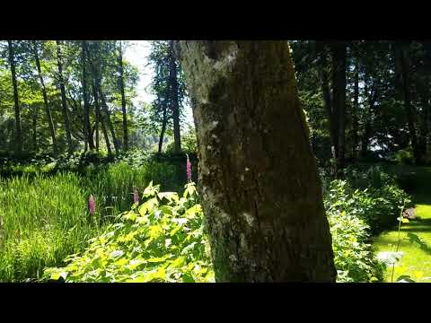 Bridal Veil Lakes wedding venue