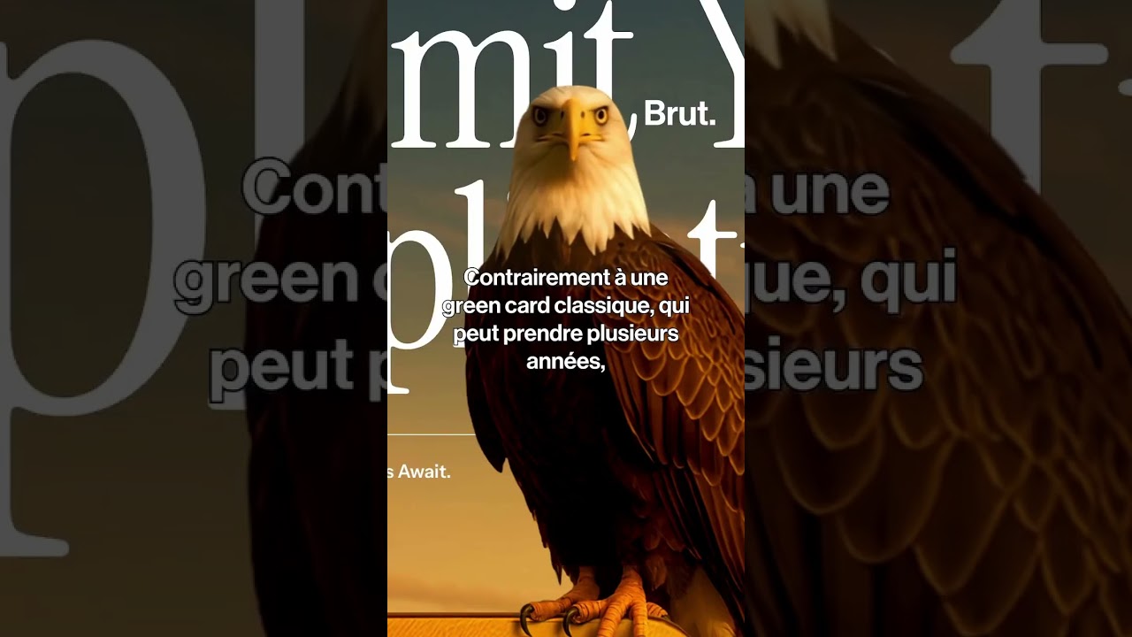 Nouvelle mesure de l'administration Trump : les demandeurs étrangers de ...