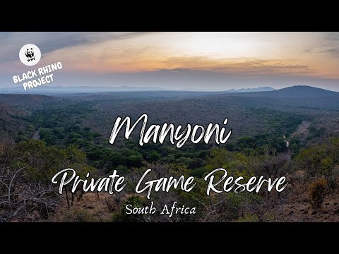 Thrilling 2-DAY SAFARI at MANYONI PRIVATE GAME RESERVE, Visiting LEOPARD MOUNTAIN LODGE, 4K travel