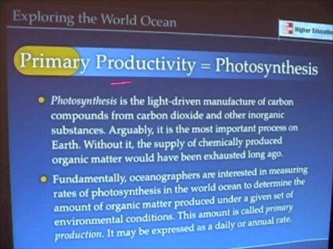Ocean Productivity - Photosynthesis Part 1
