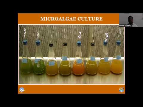 Day -1 FIVE DAYS SKILL DEVELOPMENT WEBINAR ON “ORNAMENTAL FISH CULTURE AND BREEDING”