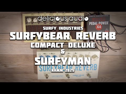 Surfy Bear Compact Deluxe Reverb Unit V1.0 | Reverb