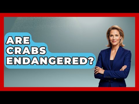 Are Crabs Endangered? - The Marine Life Explorer