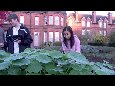 The history of horticulture revealed by nurseries' seed catalogues | Digital Dig | The RHS