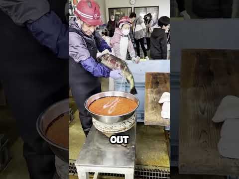 Why Salmon Are Cut Open for Their Eggs 🐟