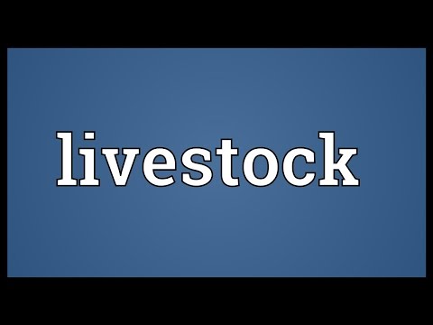 Livestock Meaning