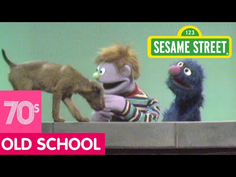 Sesame Street: Has Anybody Seen My Dog with Grover