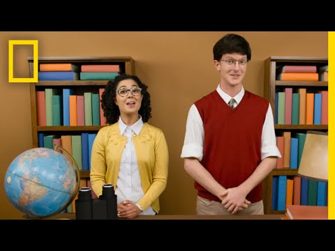 Disney+ Releases Weird But True Trailer Season 3 Trailer