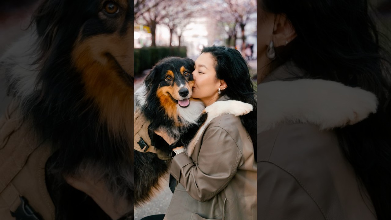 The last 3 are my fave 😍 #dogphotography #australianshepherd