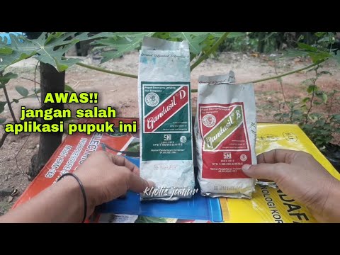 PUPUK DAUN GANDASIL D & GANDASIL B SERTA MANFAATNYA