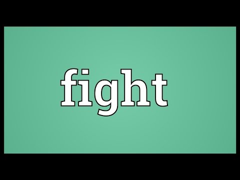 Fight Meaning