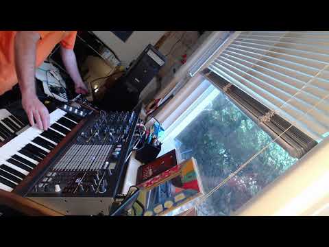 Custom Modular Analog Synth with PAIA VCO, VCF, VCA, ADSR | Reverb