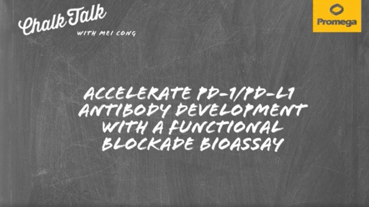Accelerate PD-1/PD-L1 Antibody Development with a Functional Blockade Bioassay