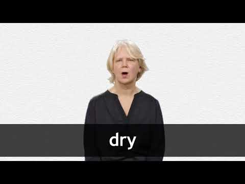 DRY definition and meaning | Collins English Dictionary