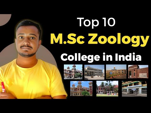 Top 10 M.Sc Zoology Colleges in India| Best Universities for Zoology| Admission, Fees & Career Scope