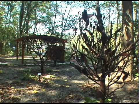 Animal Friends Presents a Tour of the Caryl Gates Gluck Resource Center