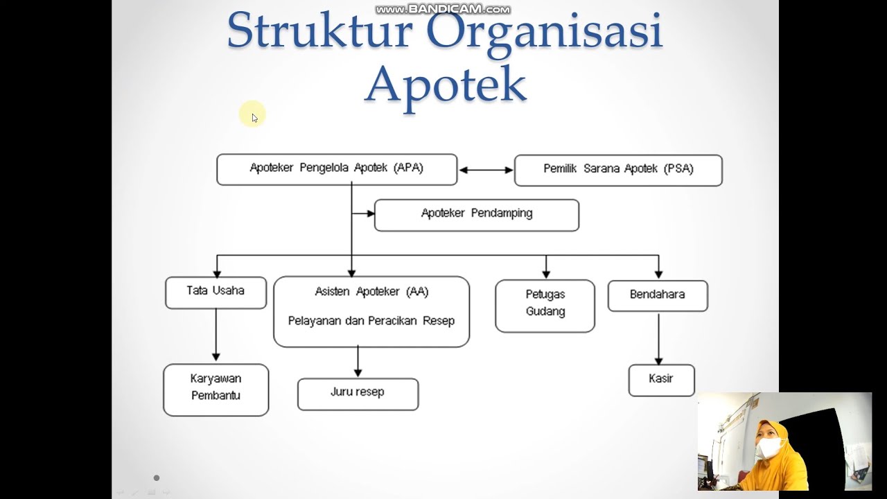 STRUKTUR ORGANISASI APOTEK| Manajemen Obat & Perbekalan Farmasi di Apotek | yanfar Kelas XII