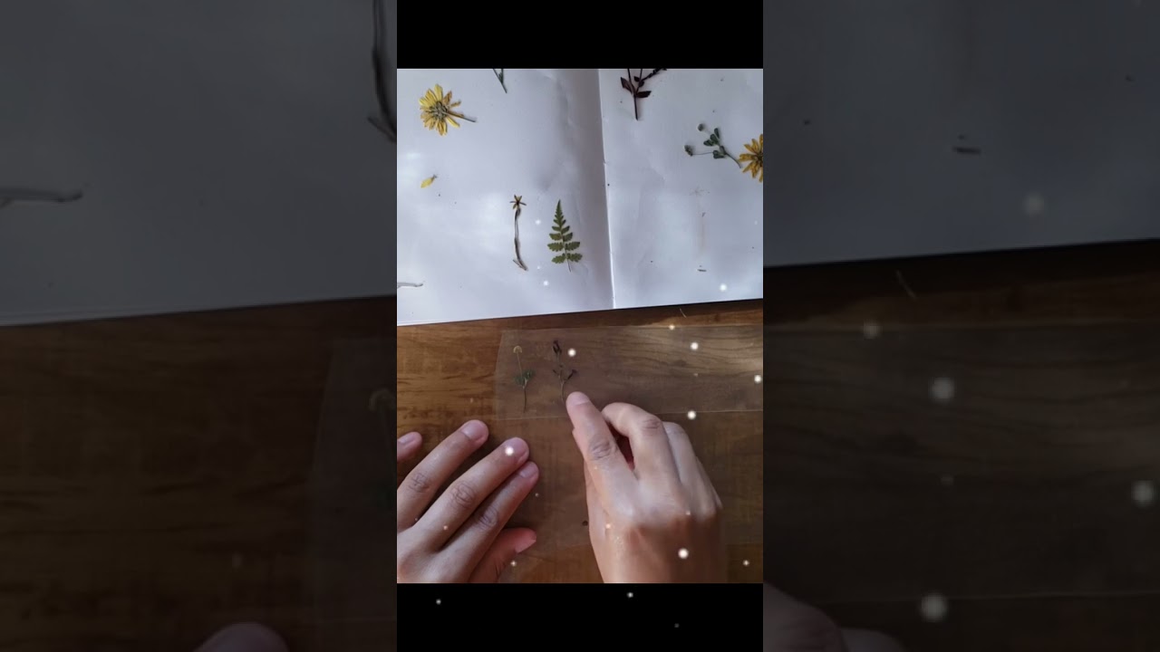 Como fazer adesivos de flores naturais  #comofazer #ideiascriativas #adesivos