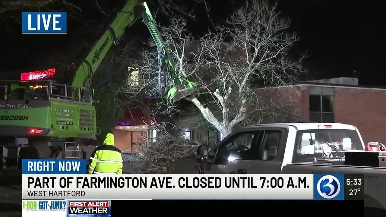 Tree removal closes portion of Farmington Avenue in West Hartford