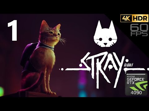 Steam Community :: Video :: STRAY - 4K 60FPS PC Ultra Graphics ...