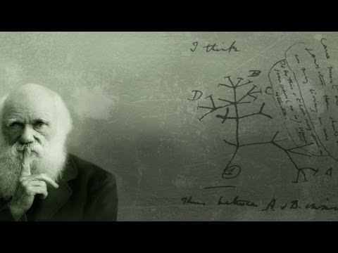 Gresham College: Prof Steve Jones – Is Man Just Another Animal? | The ...