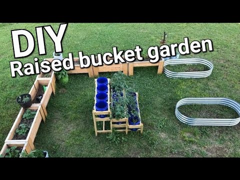 Raised garden. DIY 5 gallon bucket garden