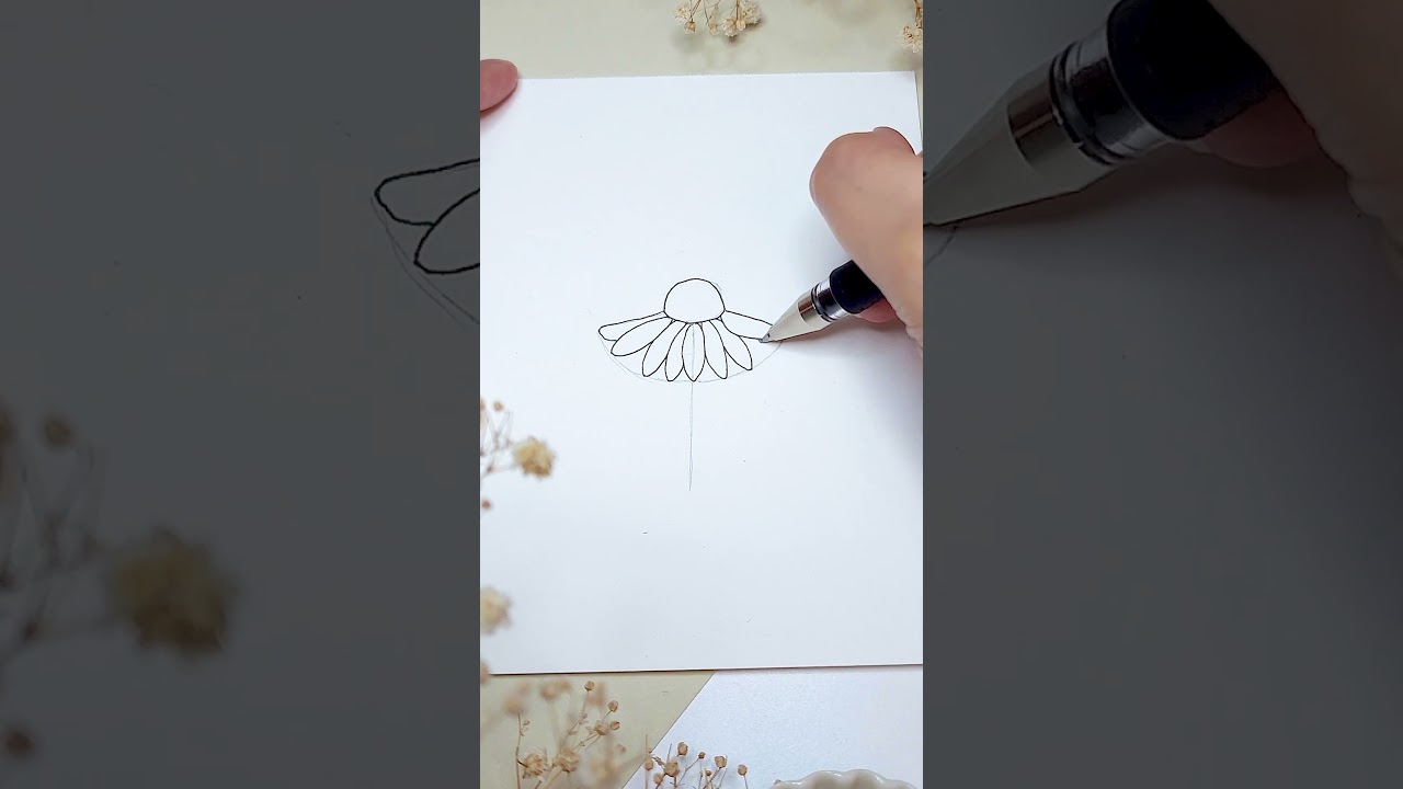 How To Draw A Chamomile Flower  #flowerdrawing