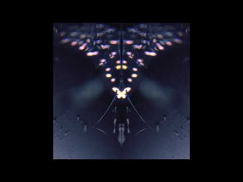 Meanderings - lyric video