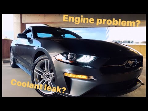 My Mustang is ruined! (Engine Misfire)