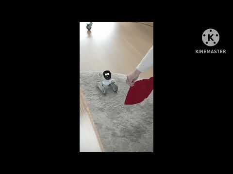KaeKid Robots for Kids, Interactive Smart Robotic #viral #robot #viralvideo
