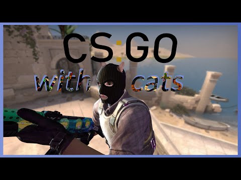 Steam Community :: Video :: CS:GO with Cats