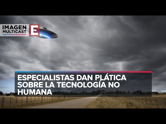 Descubren extraña criatura con 20 brazos en el mar antártico