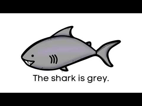 Sight Word 'Grey', Identifying Objects by Color, Virtual School, Online Learning, Learn to READ FUN!