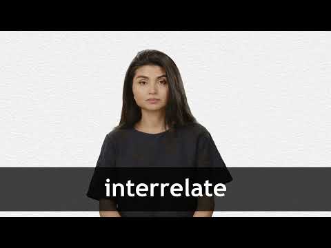 INTERRELATE definition in American English | Collins English Dictionary