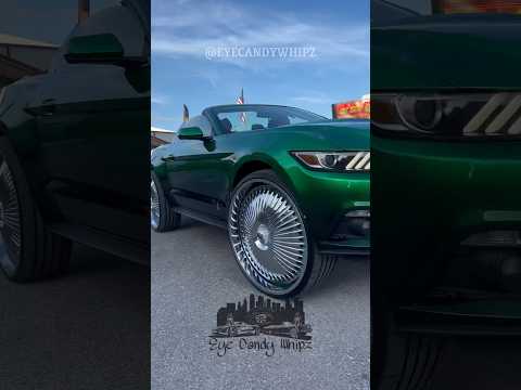 Mustang on Dub Floaters #florida #carshow #cars #wheels