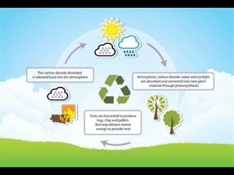 EXAMPLES OF RENEWABLE ENERGY 4