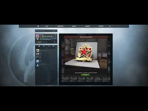 Steam Community :: Video :: getting 2022 red service medal w/ scaleform ui